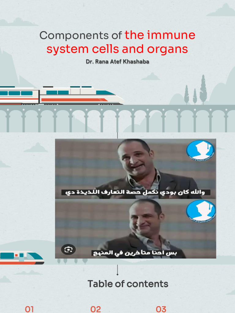 Immune System Organs and Cells | PDF | Lymphocyte | Lymphatic System