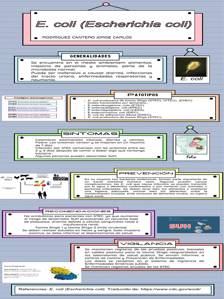 Escherichia Coli | PDF | Escherichia coli | Epidemiología