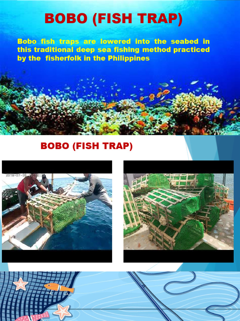 Bobo (Fish Trap) | PDF