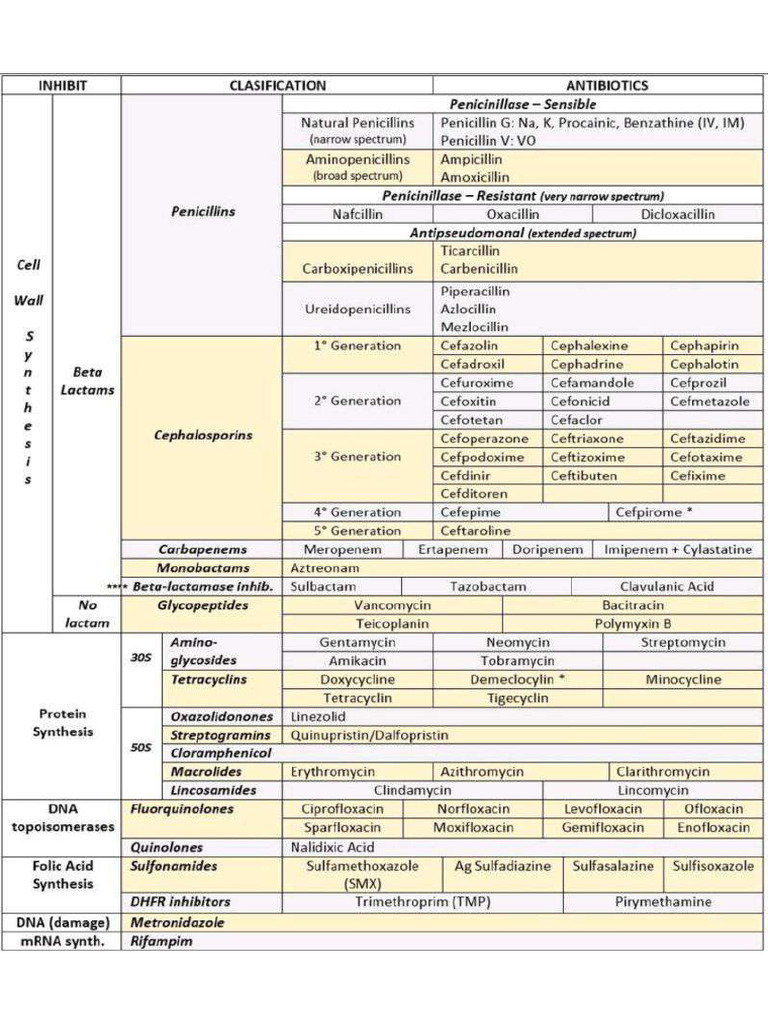 Antibiotic Complete | PDF