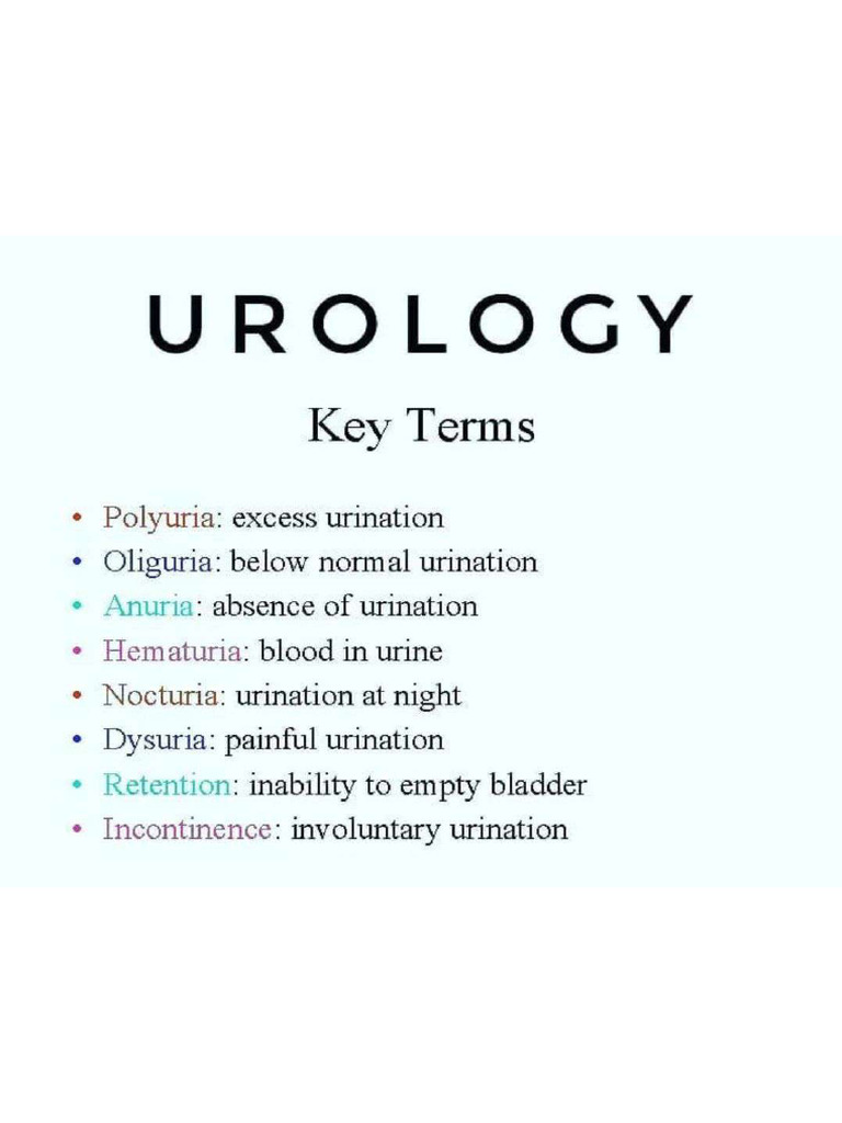 Urology | PDF