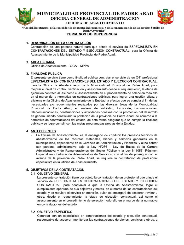 TDR - Modelo Profesional Ok | PDF | Administración Pública | Gobierno local