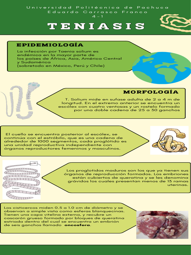 Tenia | PDF | Epidemiología | Medicina