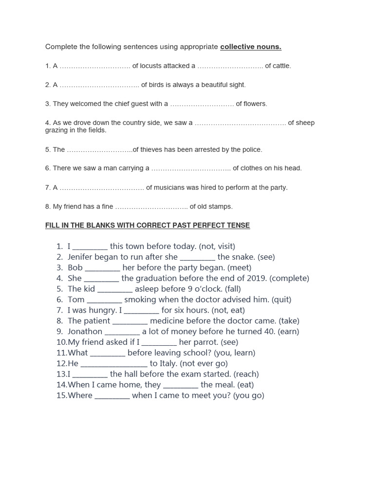 Past Perfect Tense Exercise | PDF