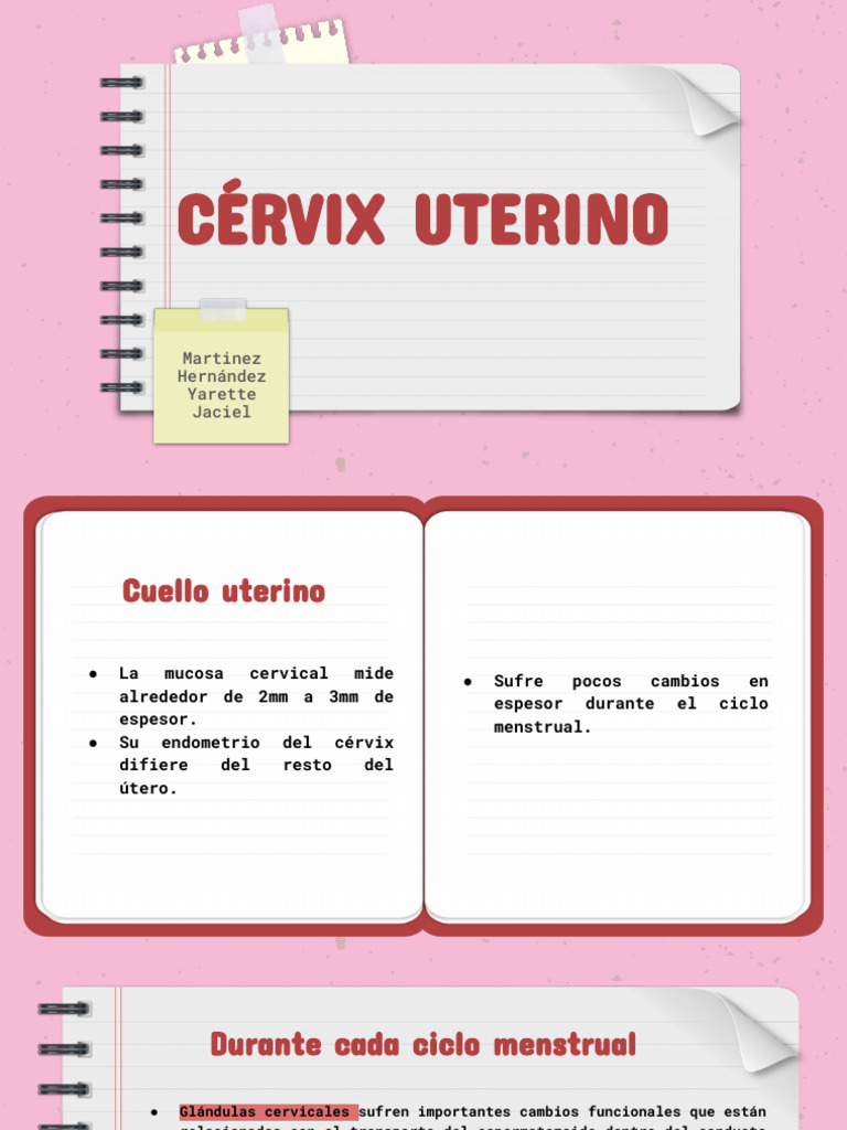 Cérvix Uterino | PDF | Vagina | Epitelio