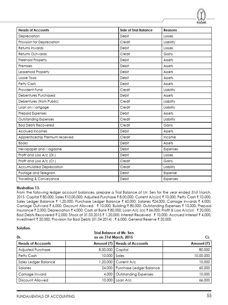 Heads of Accounts Side of Trial Balance Reasons: Illustration 13 | PDF ...