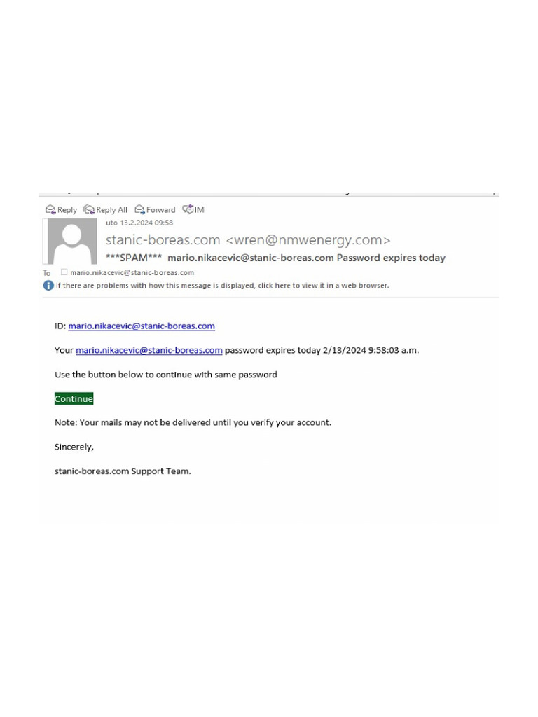 Primjer SPAM Emaila U Grupaciji | PDF