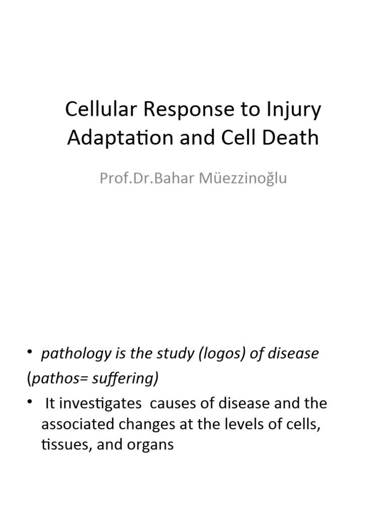 Cellular Injury: Adaptation and Death | PDF | Apoptosis | Telomere