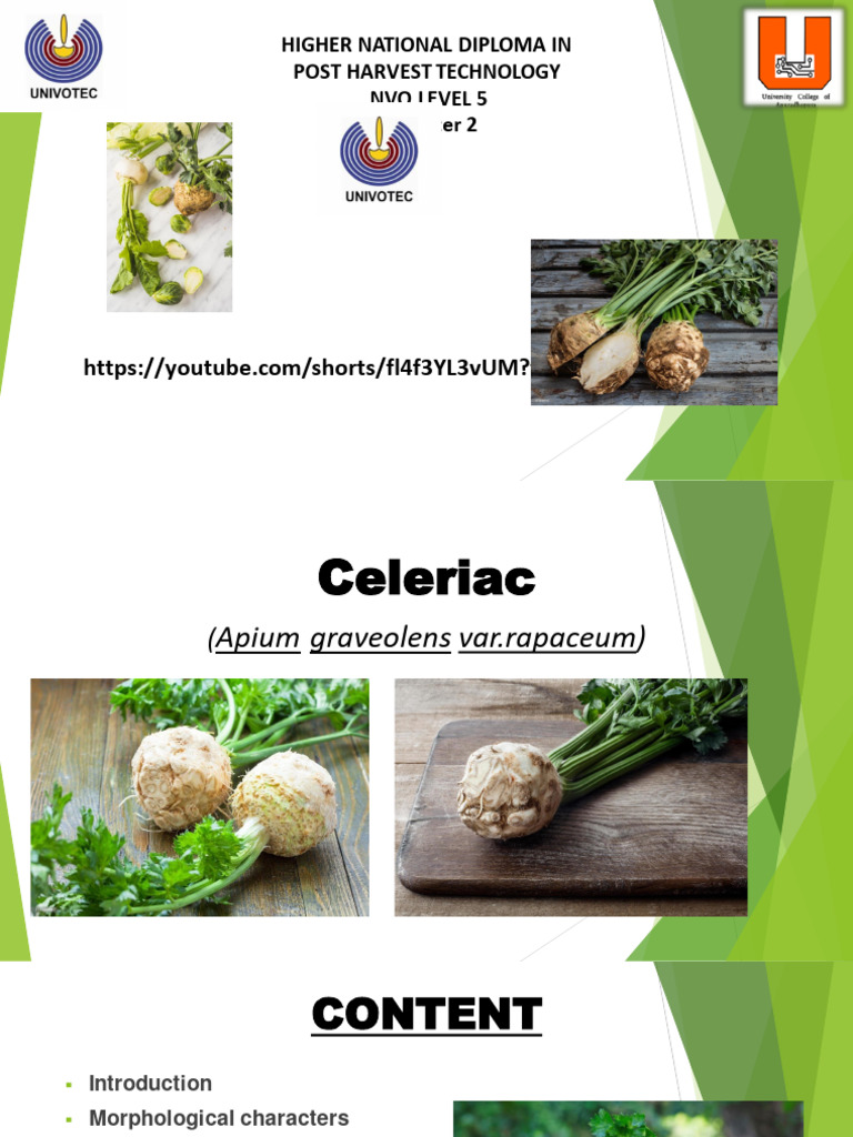 Copiyak | PDF | Celery | Soil
