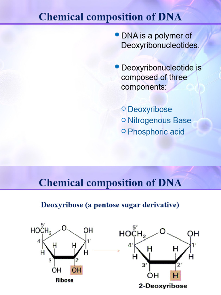 Lesson - 4 - Chemical Composition of DNA | PDF