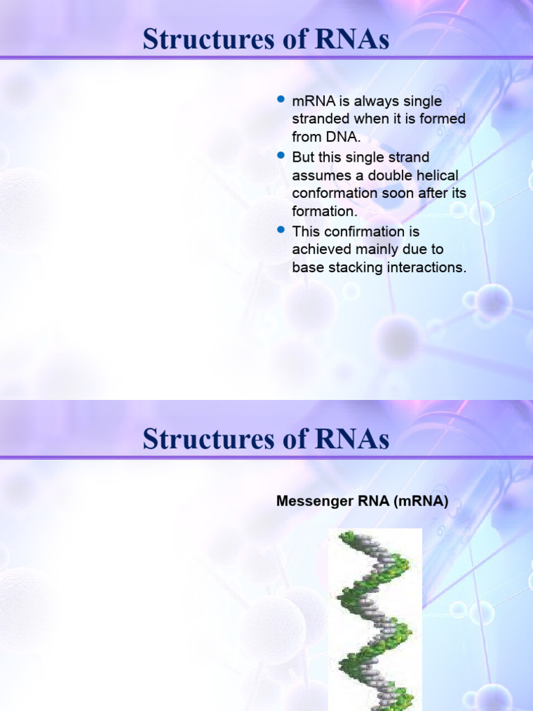 Lesson - 14 - Structure of RNAs | PDF
