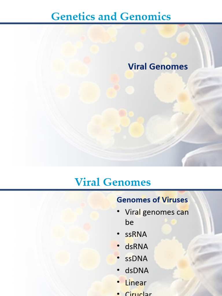 Lesson 22 Viral Genomes | PDF | Virus | Genome