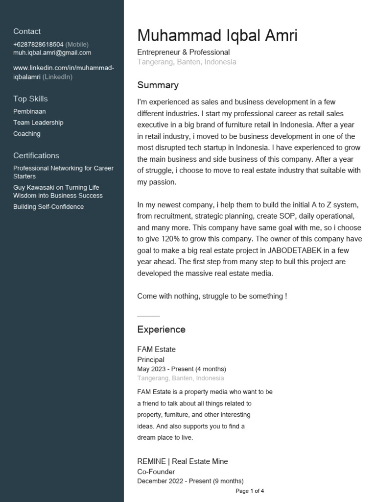 Profile Iqbal | PDF | Business | Economies