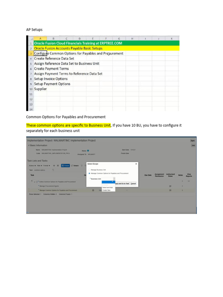 AP Setups | PDF | Business | Computing