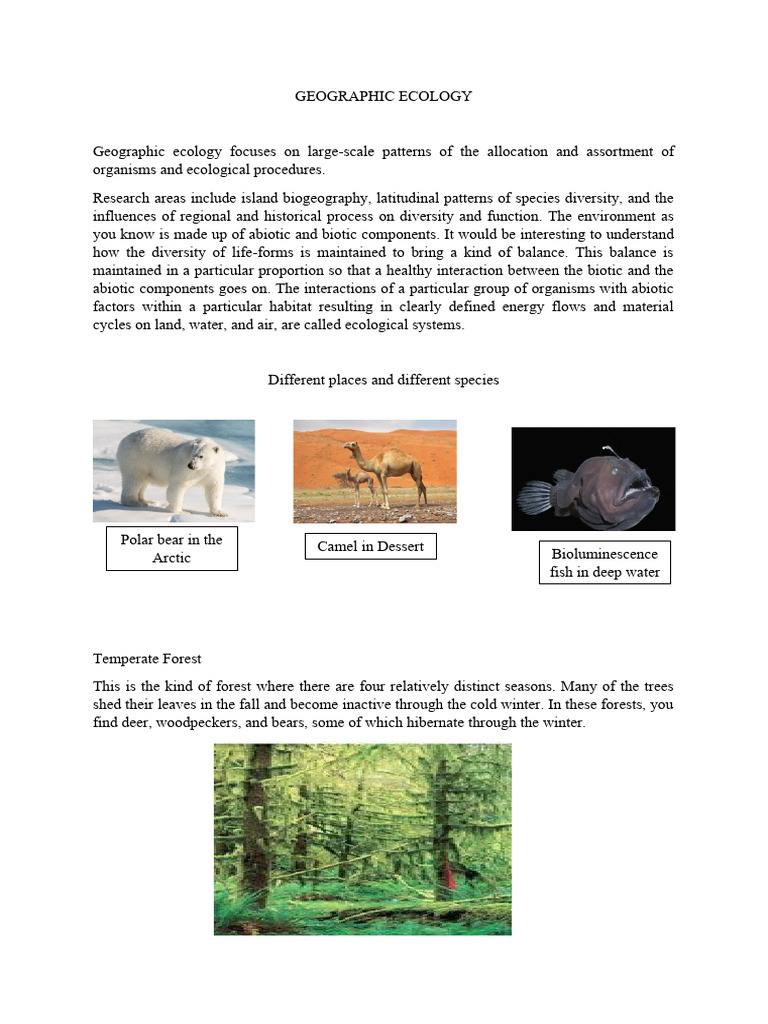 Group 1 Geographic | PDF | Forests | Ecology