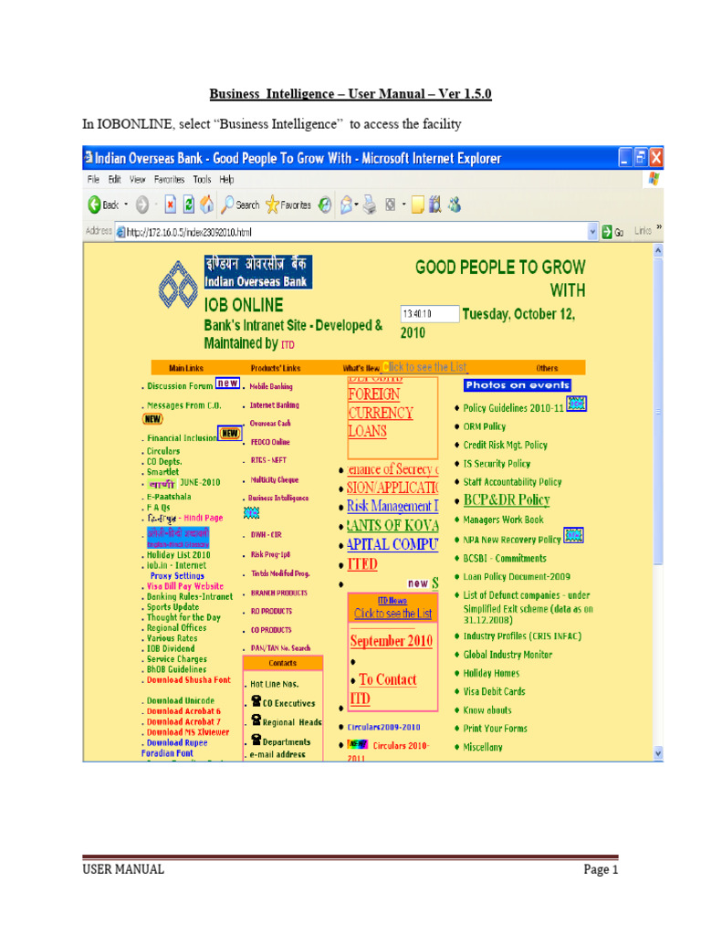 Bi Usermanual | PDF | Business Intelligence | Computing