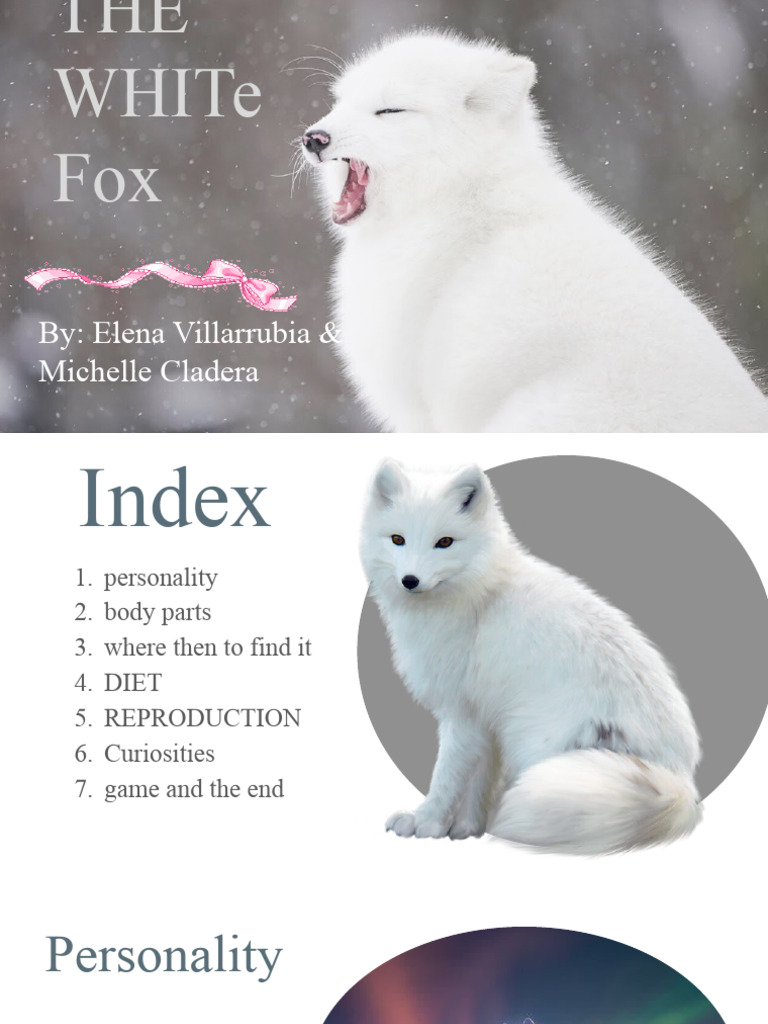 White Fox Presentation | PDF | Home & Garden | Science & Mathematics