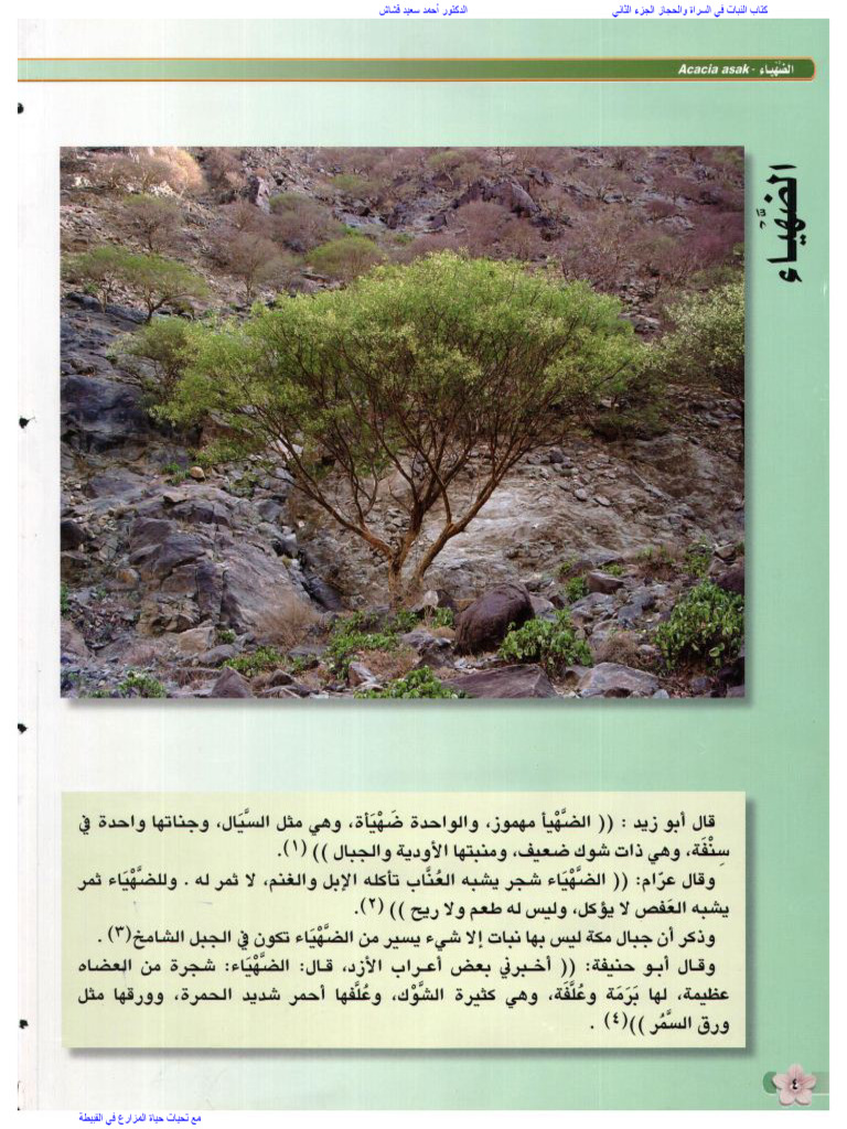Acacia Asak ظهياء ، عسق | PDF