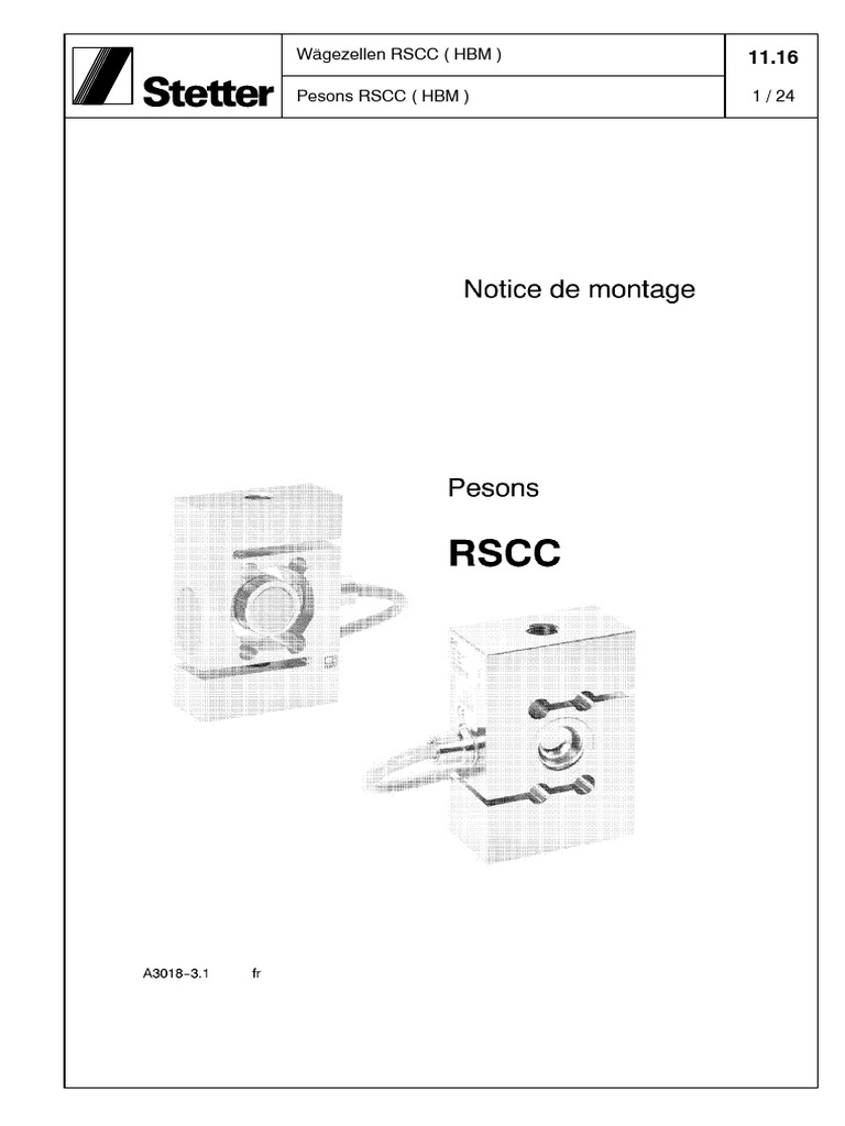 Pesons RSCC | PDF