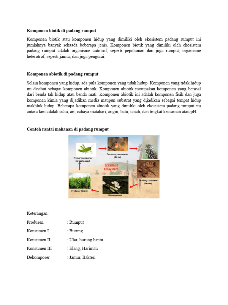 AAAA Komponen Biotik Di Padang Rumput | PDF | Sains & Matematika