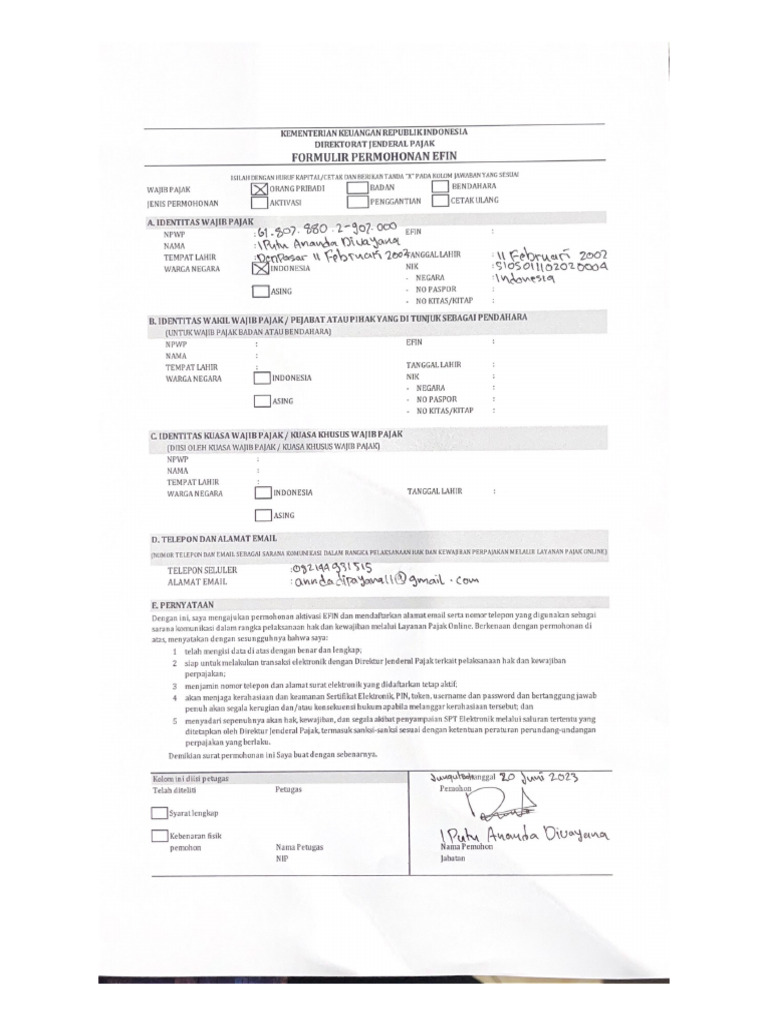 Formulir Permohonan Efin | PDF