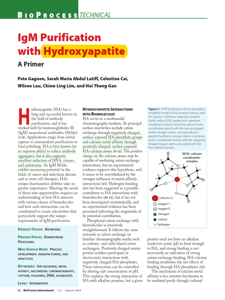 2014 IgM Purification With Hydroxyapatite | PDF | Monoclonal Antibody ...