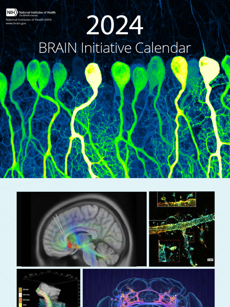 2024 BRAIN Initiative Calendar - 1 | PDF