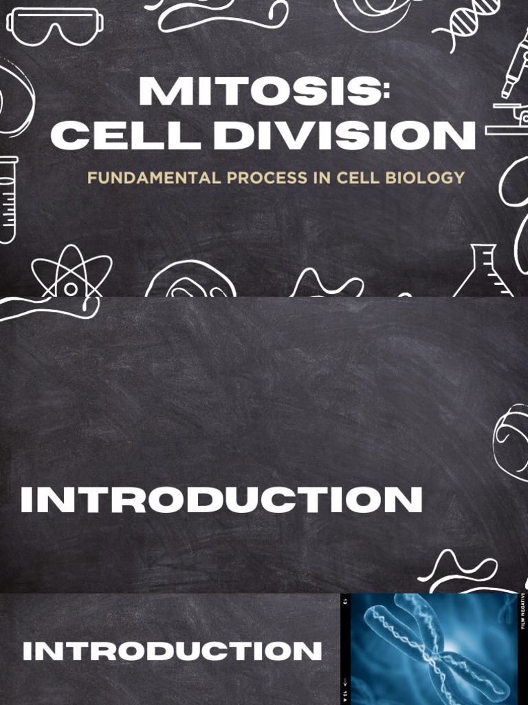 MITOSIS | Download Free PDF | Mitosis | Chromosome