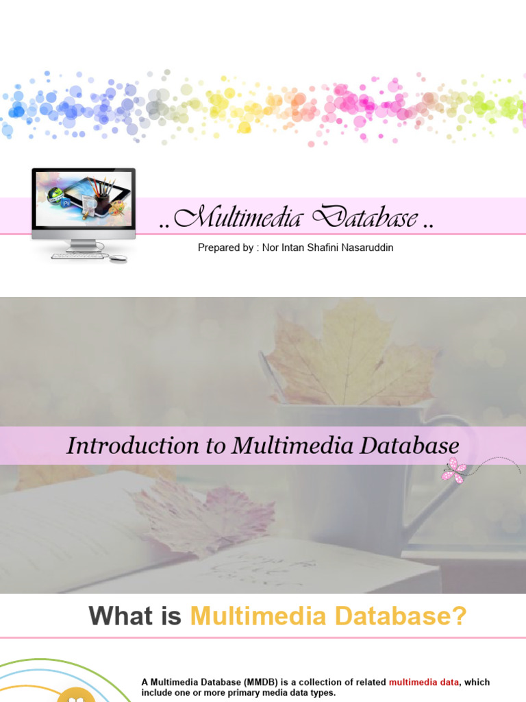 Slide MultimediaDatabase ICT450 | PDF | Multimedia | File Format