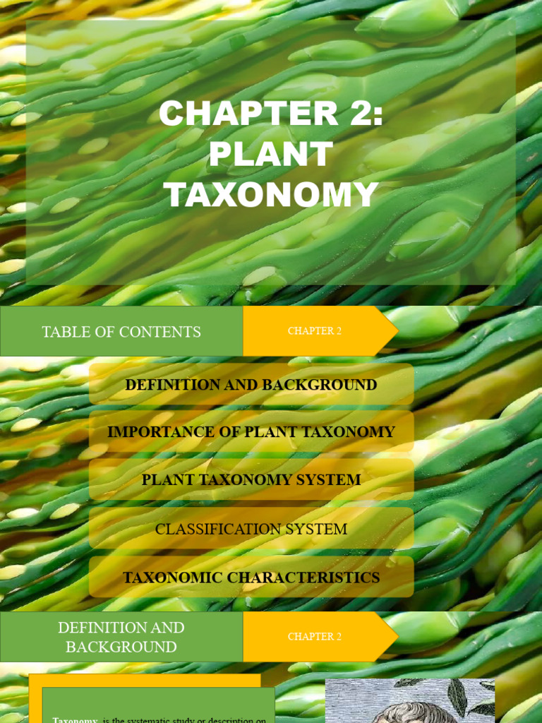 Chapter 2 Plant Taxonomy | PDF | Taxonomy (Biology) | Plants