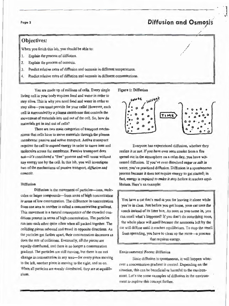 Bio 101 Diffusion and Osmosis Lab | PDF | Cell Membrane | Osmosis