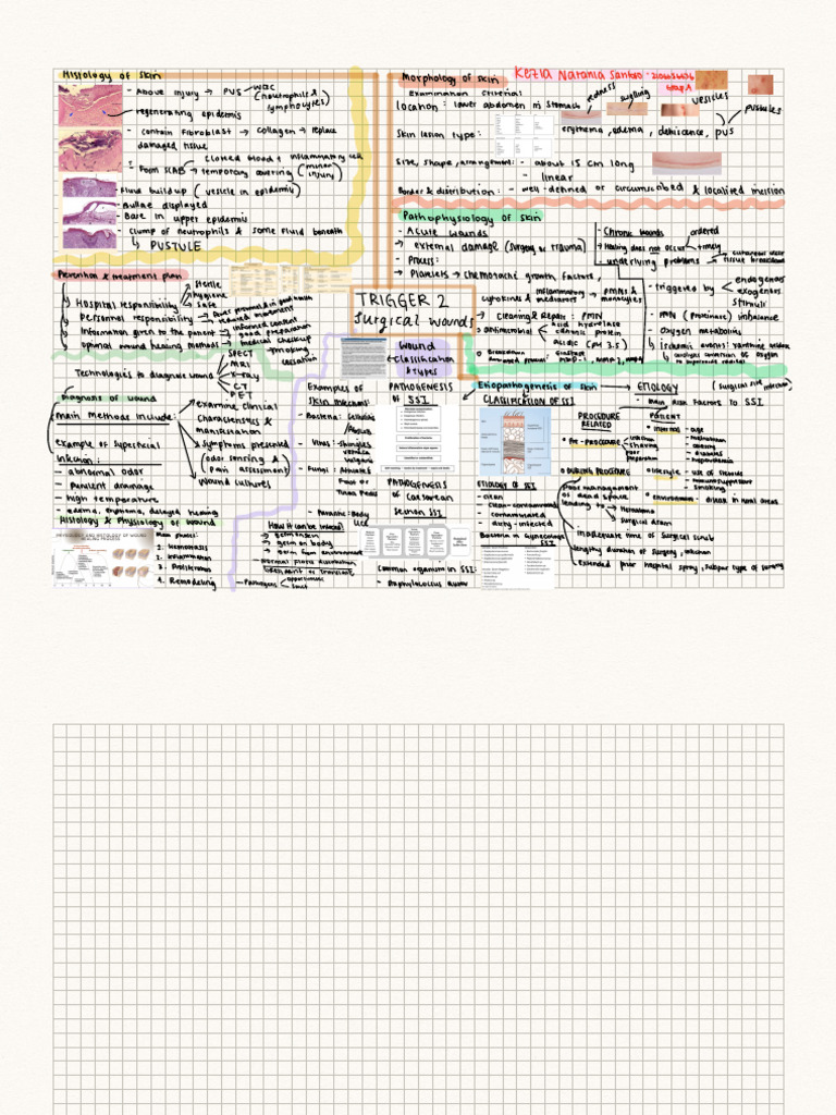 Mindmap T2 PBL A Kezia Natania Santoso | PDF | Causes Of Death | Epidemiology