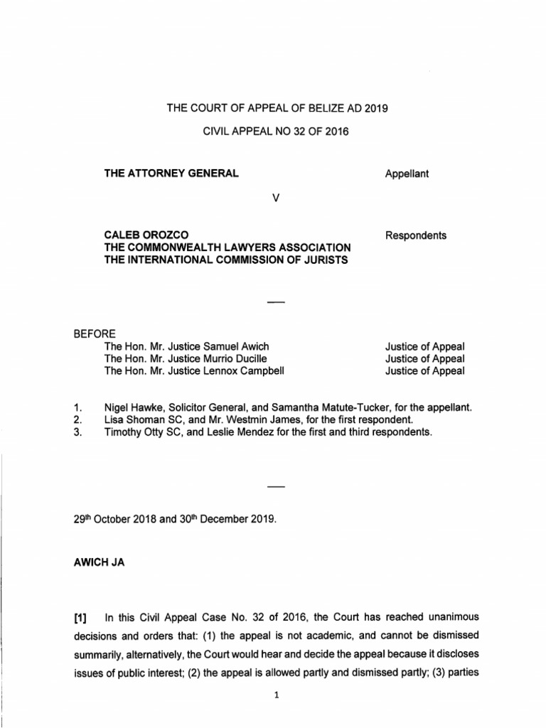 Attorney_General_v_Caleb_Orozco_and_Others | PDF Attorney_General_v_Caleb_Orozco_and_Others | PDF