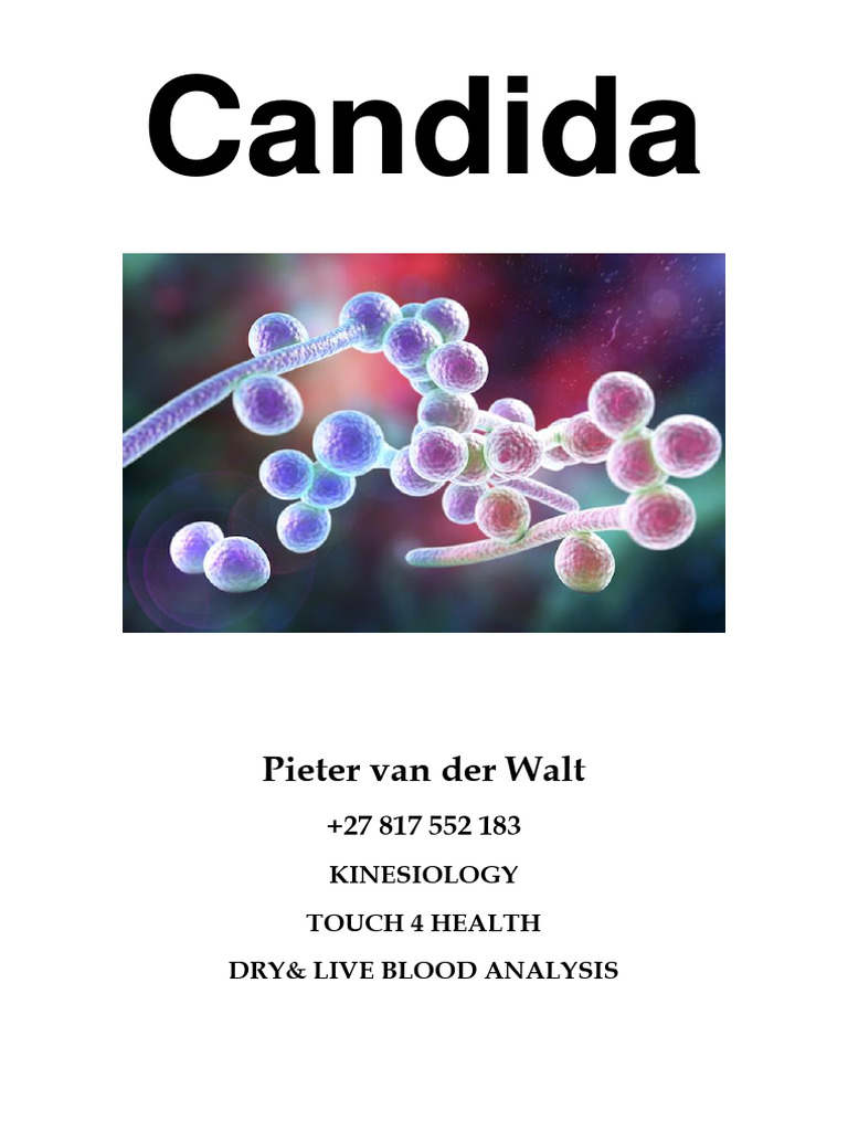 All About Candida and Recipes | PDF | Candidiasis | Candida (Fungus)