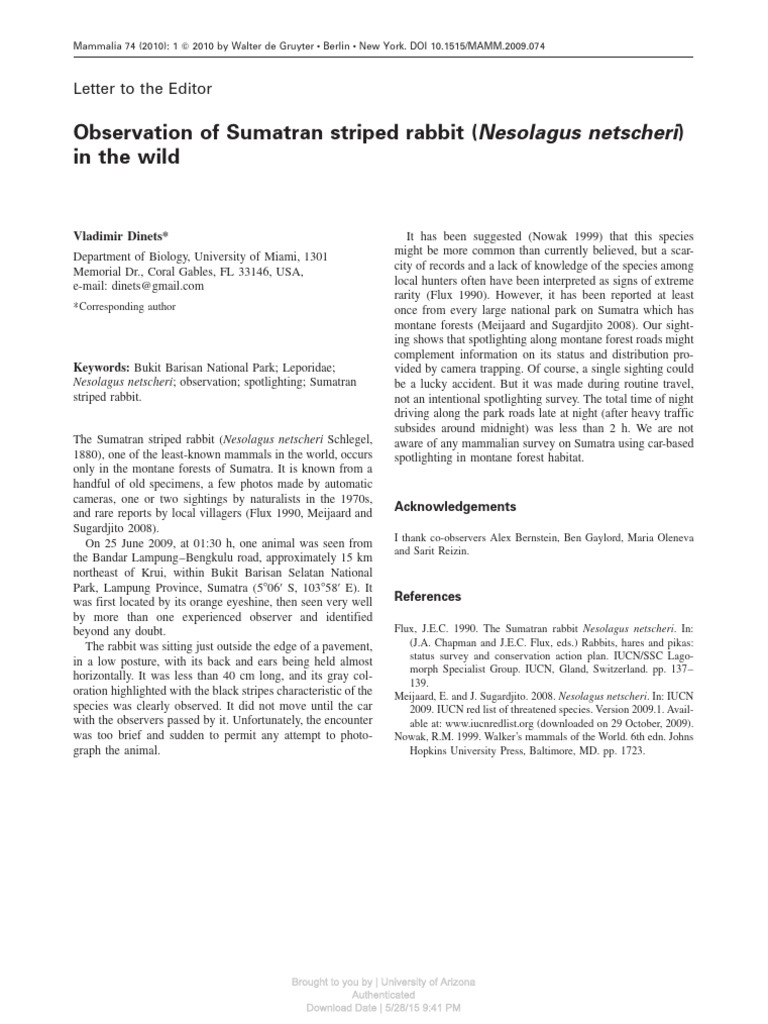 Kelinci Sumatera | PDF | Lagomorphs | Mammal Orders