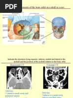 Mnemonic For Eye | PDF