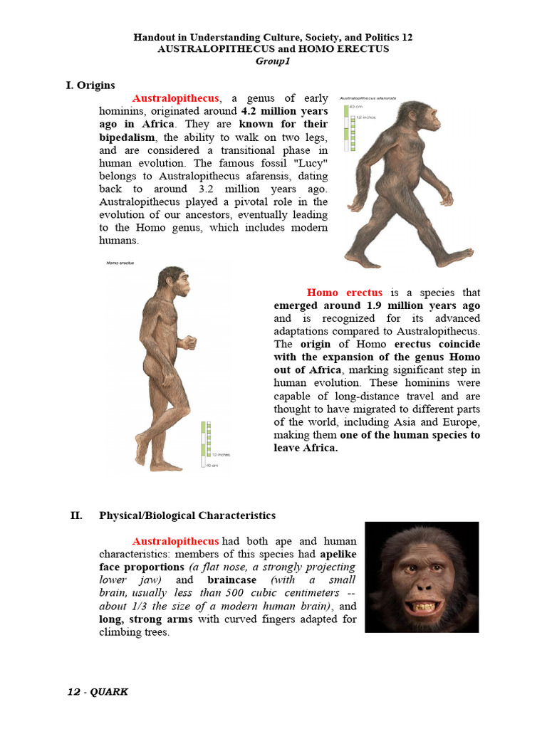 G1 AustralopithecusandHomoerectus 206239472350308 | PDF | Homo | Human Evolution