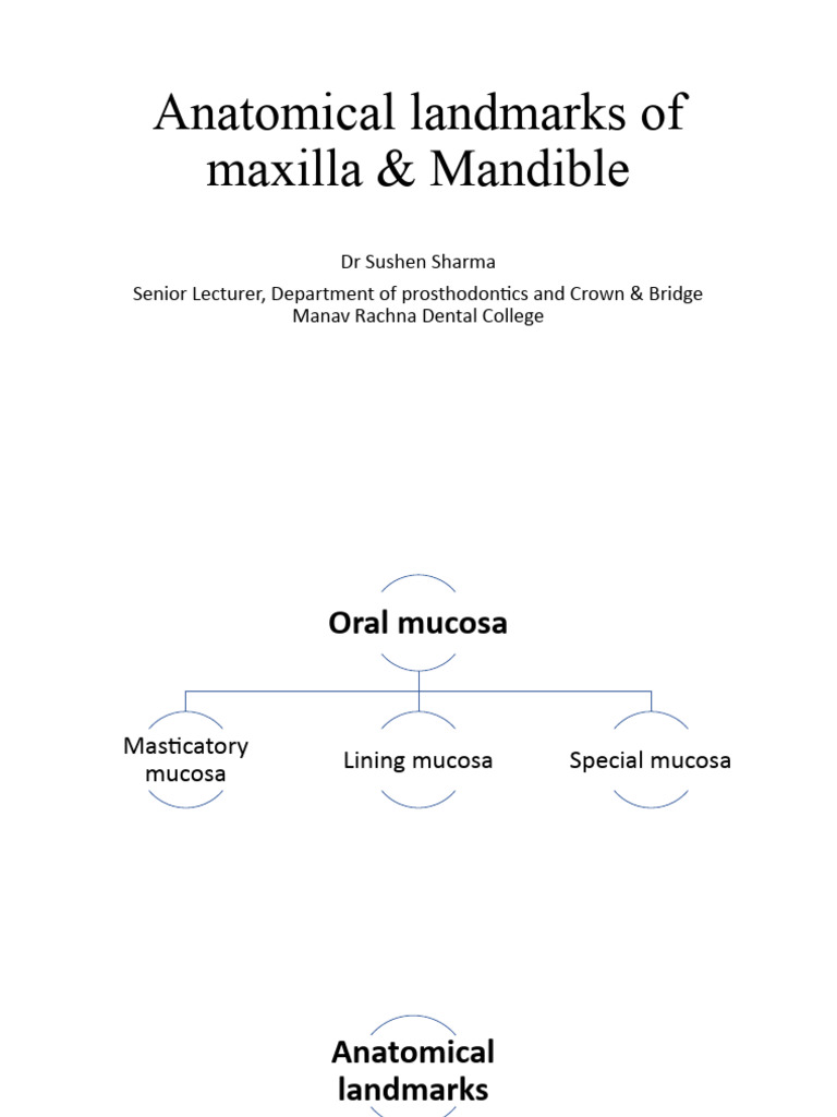 Anatomical Lamdmarks of Maxilla and Mandible | PDF