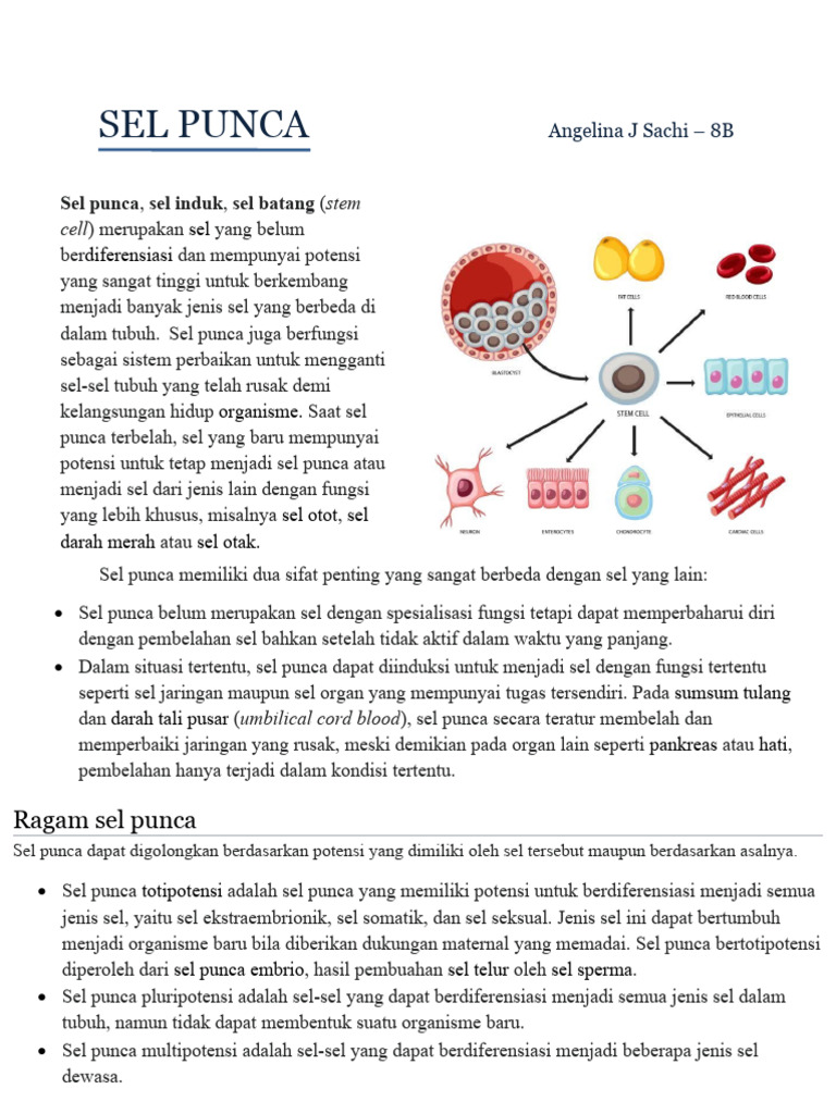 Artikel TNTNG SEL PUNCA | PDF