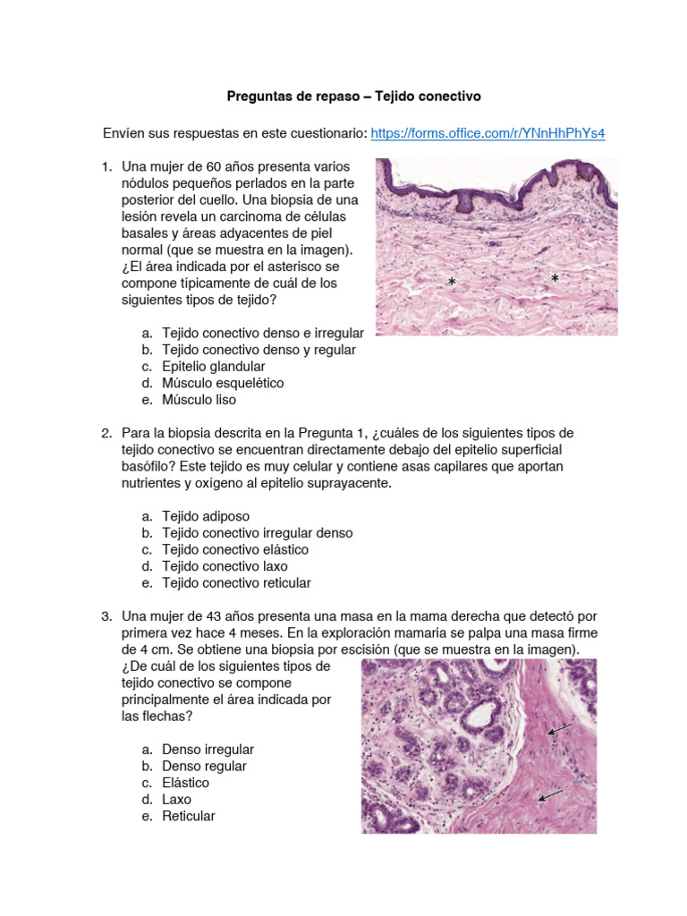 Preguntas de Repaso - Tejido Conectivo | PDF