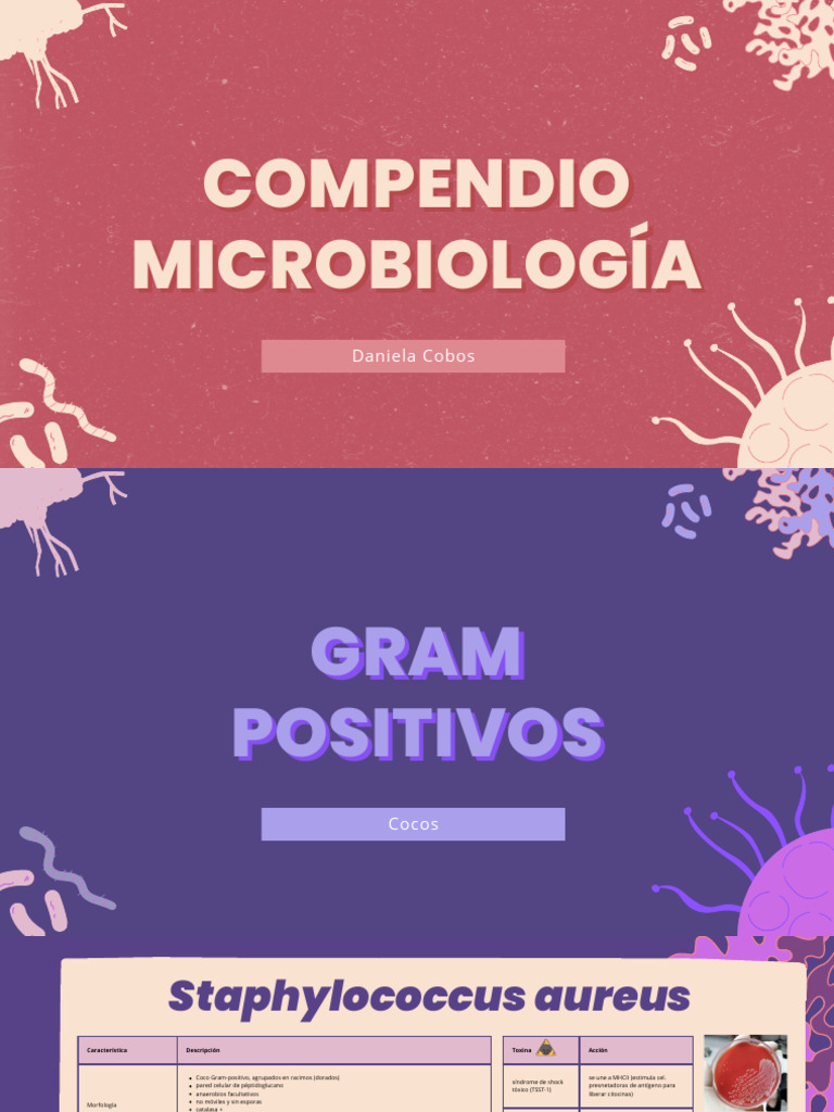 Compendio Microbiología | PDF | Mycobacterium | Staphylococcus Aureus