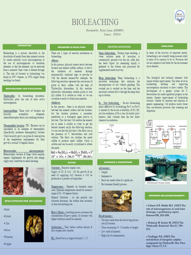 Bioleaching: Microbial Metal Recovery Techniques | PDF | Physical ...