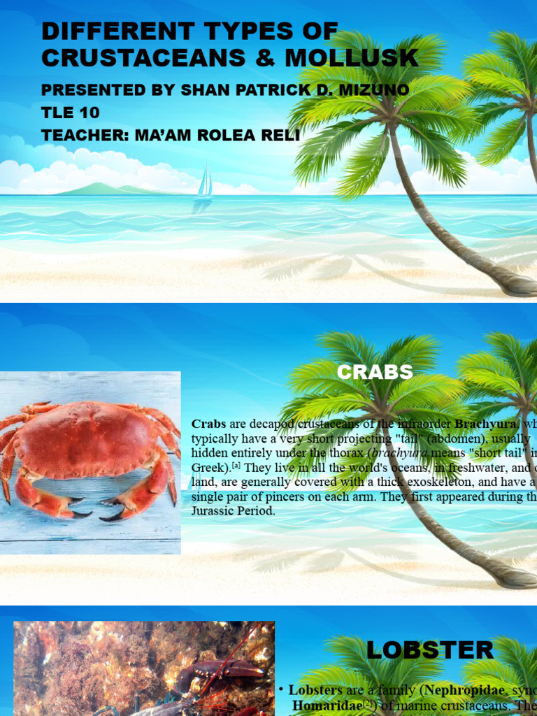 Different Types of Crustaceans Mollusk Shan | PDF | Crab