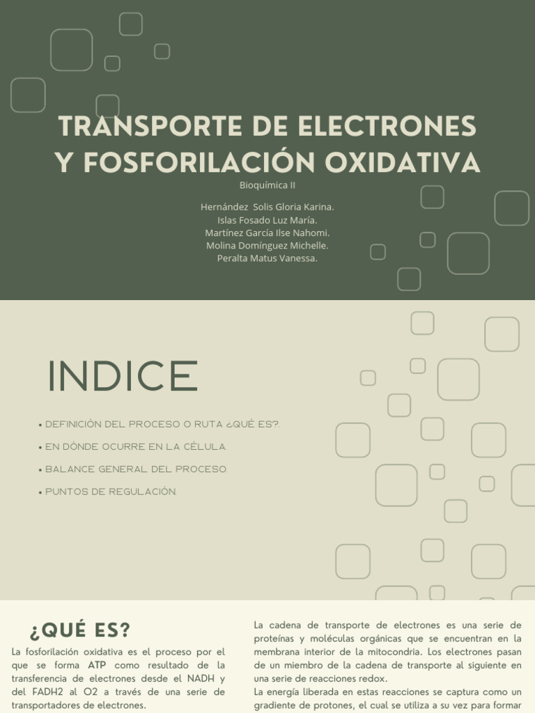 Transporte de Electrones y Fosforilación Oxidativa | PDF | Trifosfato de adenosina | Cadena de ...