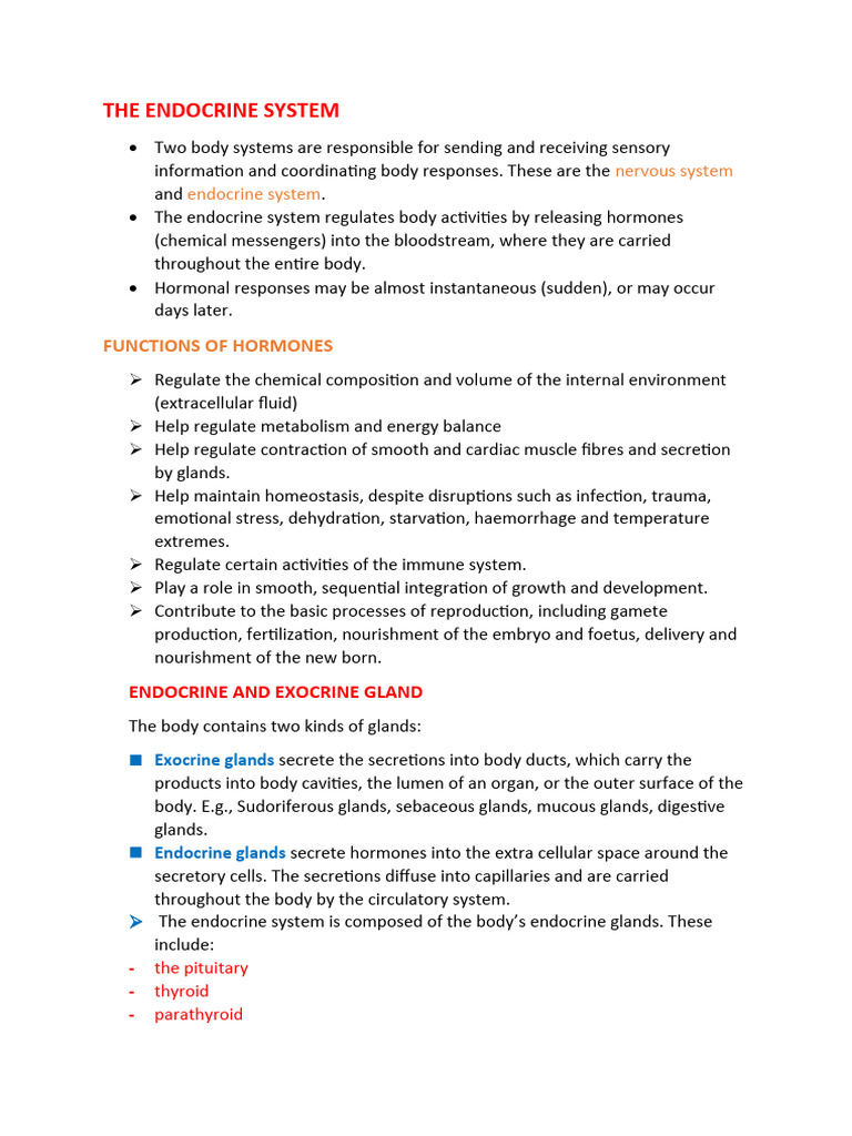 Endocrine | PDF | Pituitary Gland | Thyroid