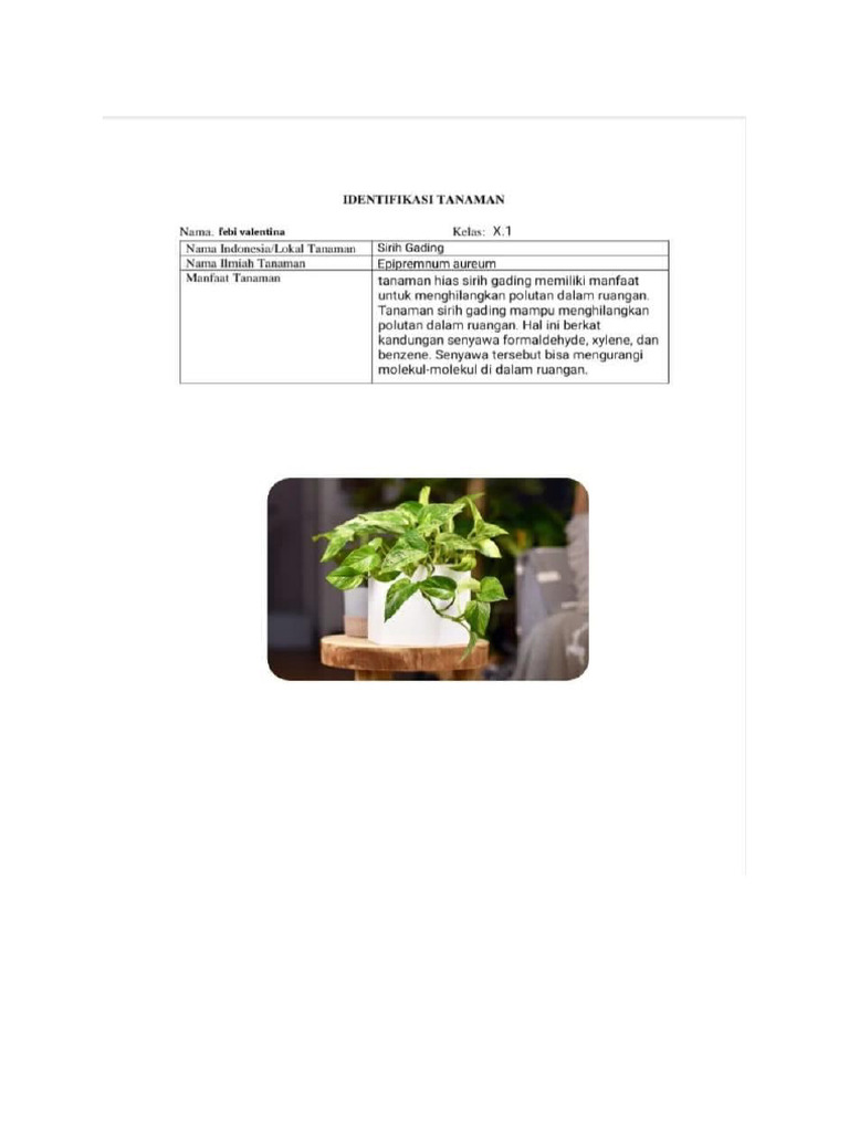 Barcode Tanaman | PDF