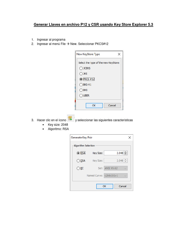 Generar CSR Con KeyStore Explorer 5.3 y Unir Respuesta | PDF