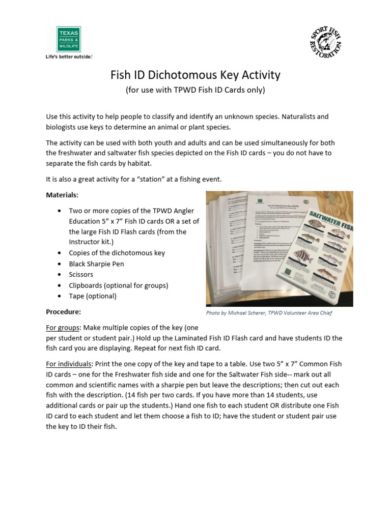 Fish ID Dichotomous Key For Fish ID Cards | PDF | Vertebrates | Fish ...