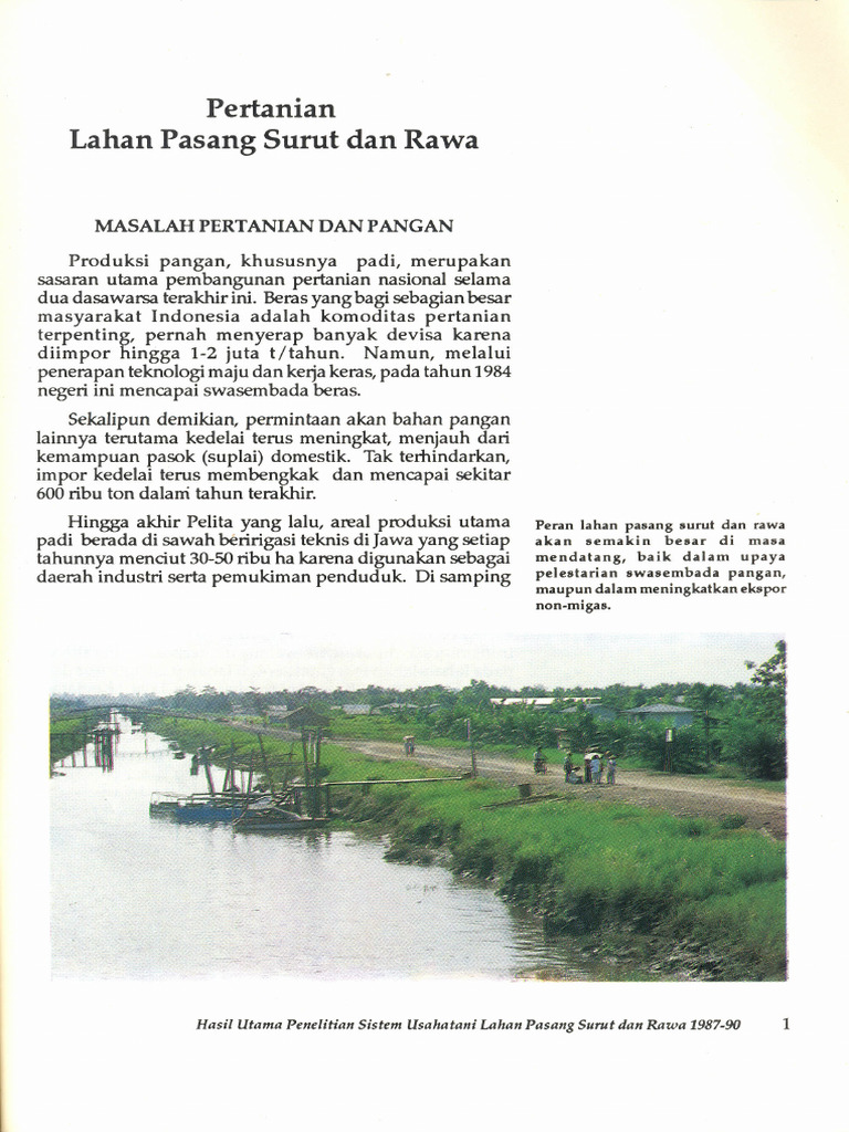 4.pertanian Lahan Pasang Surut Dan Rawa | PDF