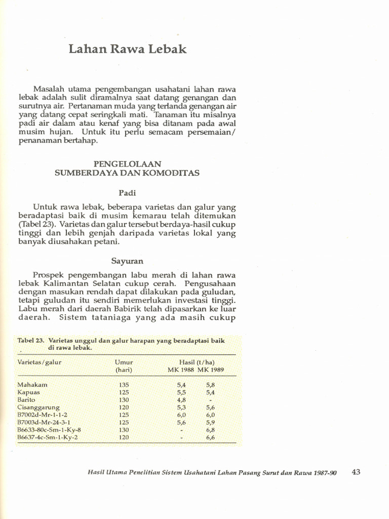 9.lahan Rawa Lebak | PDF | Teknologi & Rekayasa